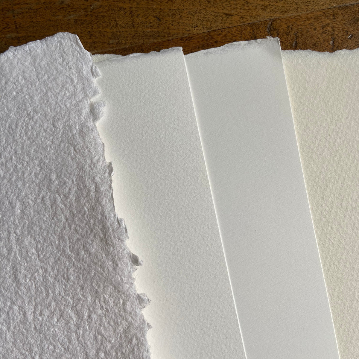 Breaking Through Fear – Late Blooming Watercolors